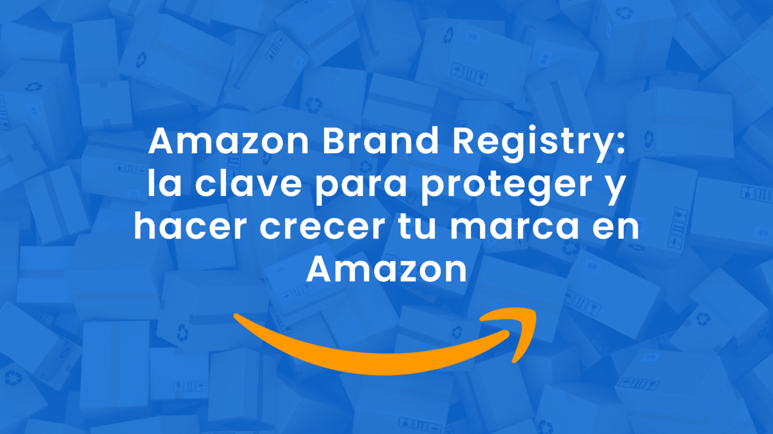 Qué es Amazon Brand Registry